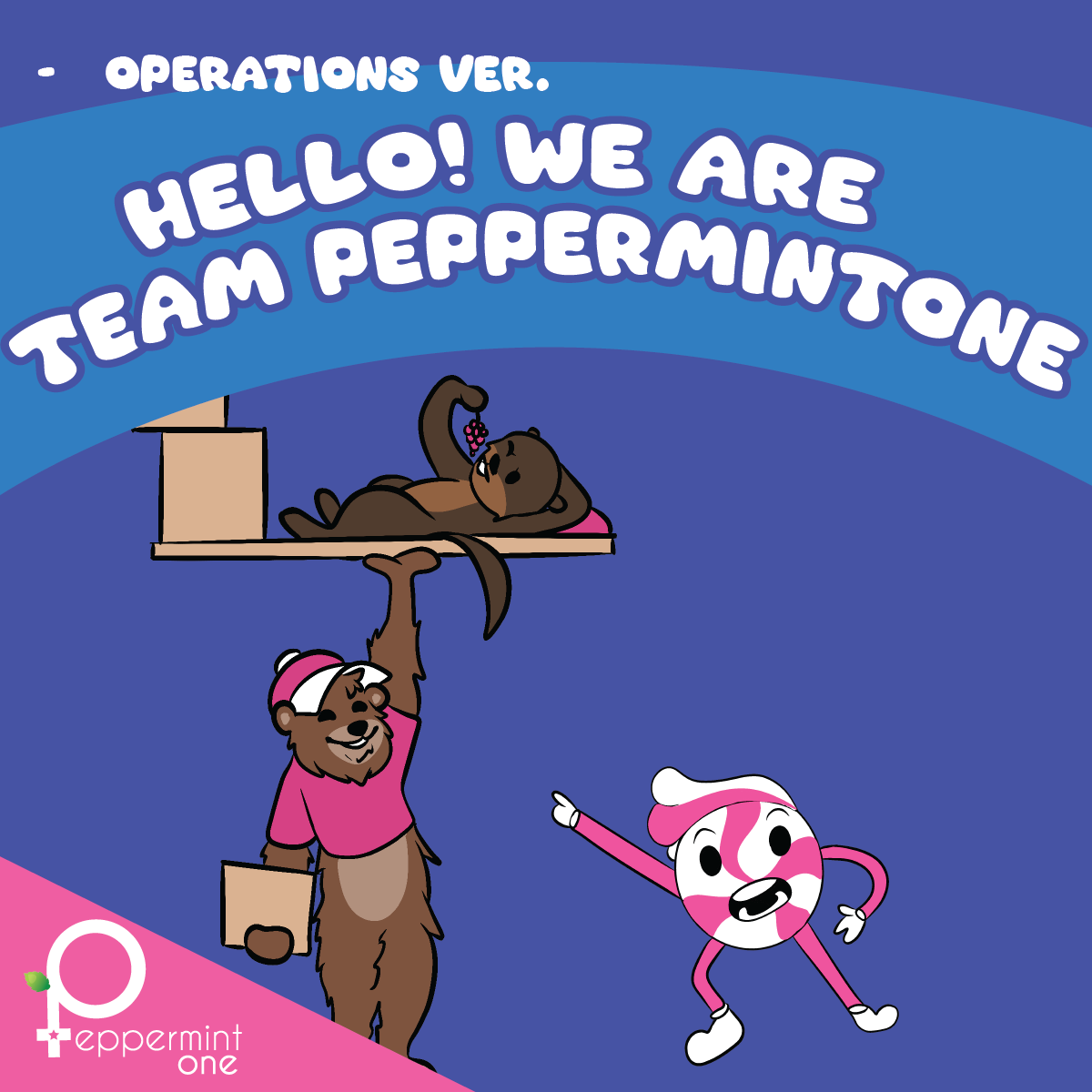 Introducing Operations – PeppermintOne
