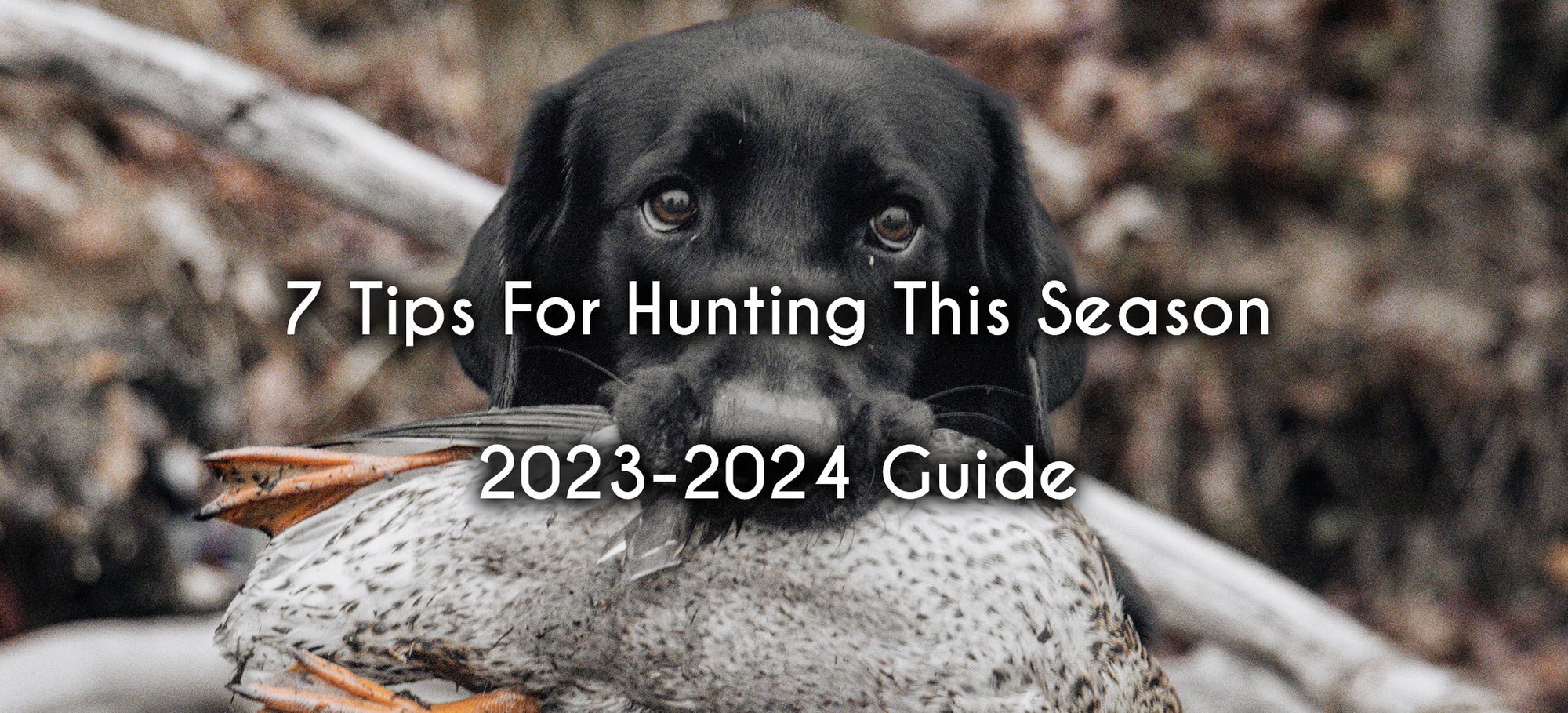 7 Expert Deer Hunting Tips For New Whitetail Deer Hunters – PeppermintOne